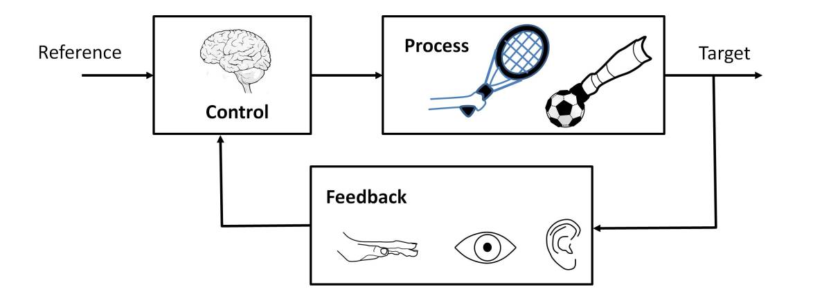 The predictive brain | Information and Reality